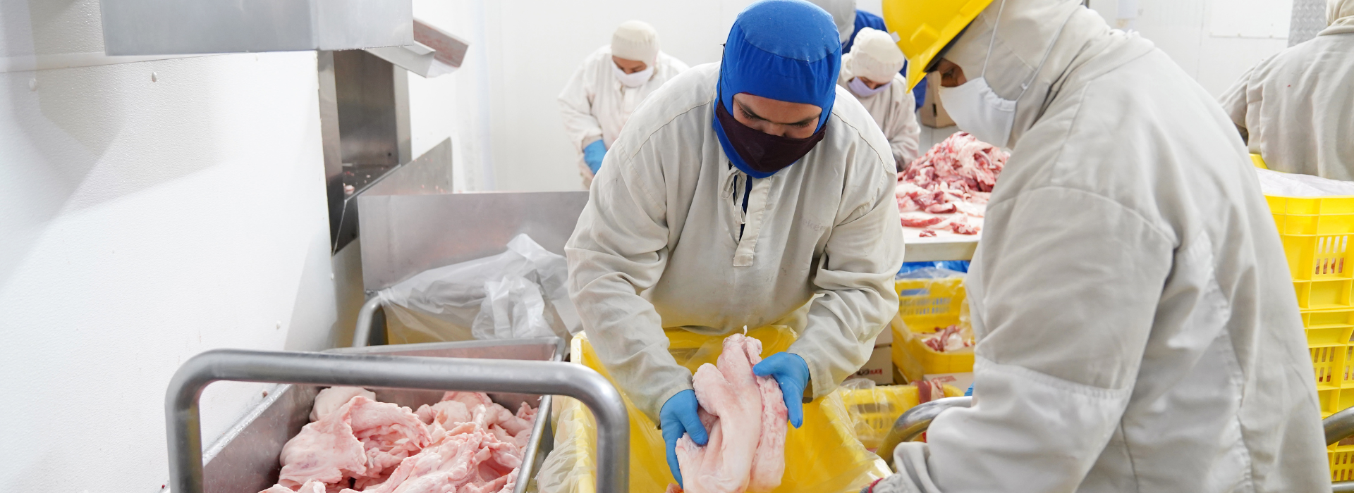 Kekén, plataforma de superación profesional - Kekén Porcicultura ...